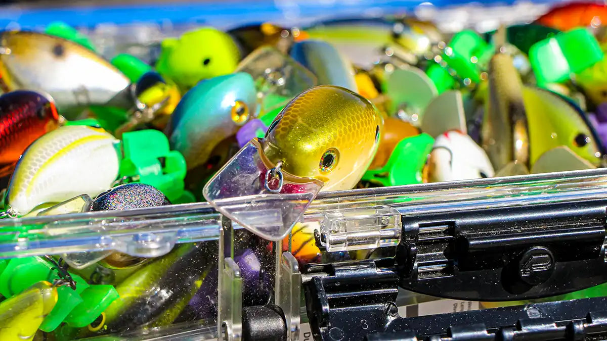 Top 10 Best Bass Lures Every Angler Must Have in 2025 - INTENSA ATOLL